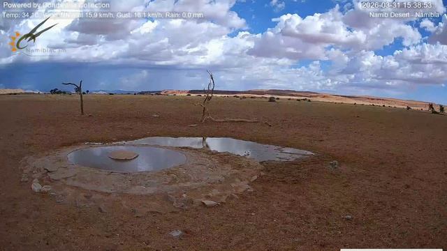 Дождь в пустыне 31 марта 2026г