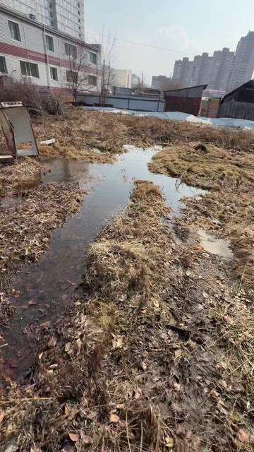 video_2026-04-03_00-42-08