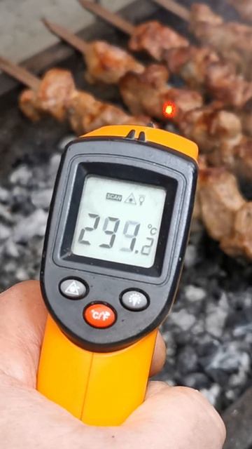 Температура на поверхности мяса шашлыка и углях shorts