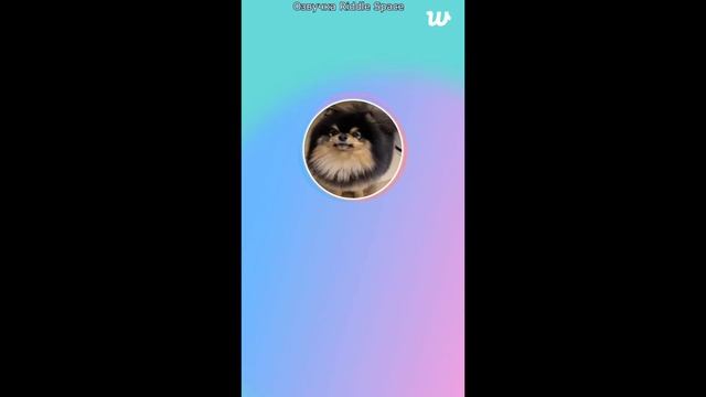 Трансляция Тэхёна 06.07.2025 |  Озвучка Riddle Space