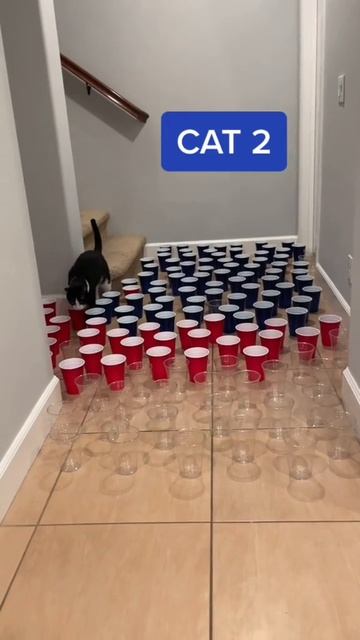 КЛАССИФИКАЦИЯ...