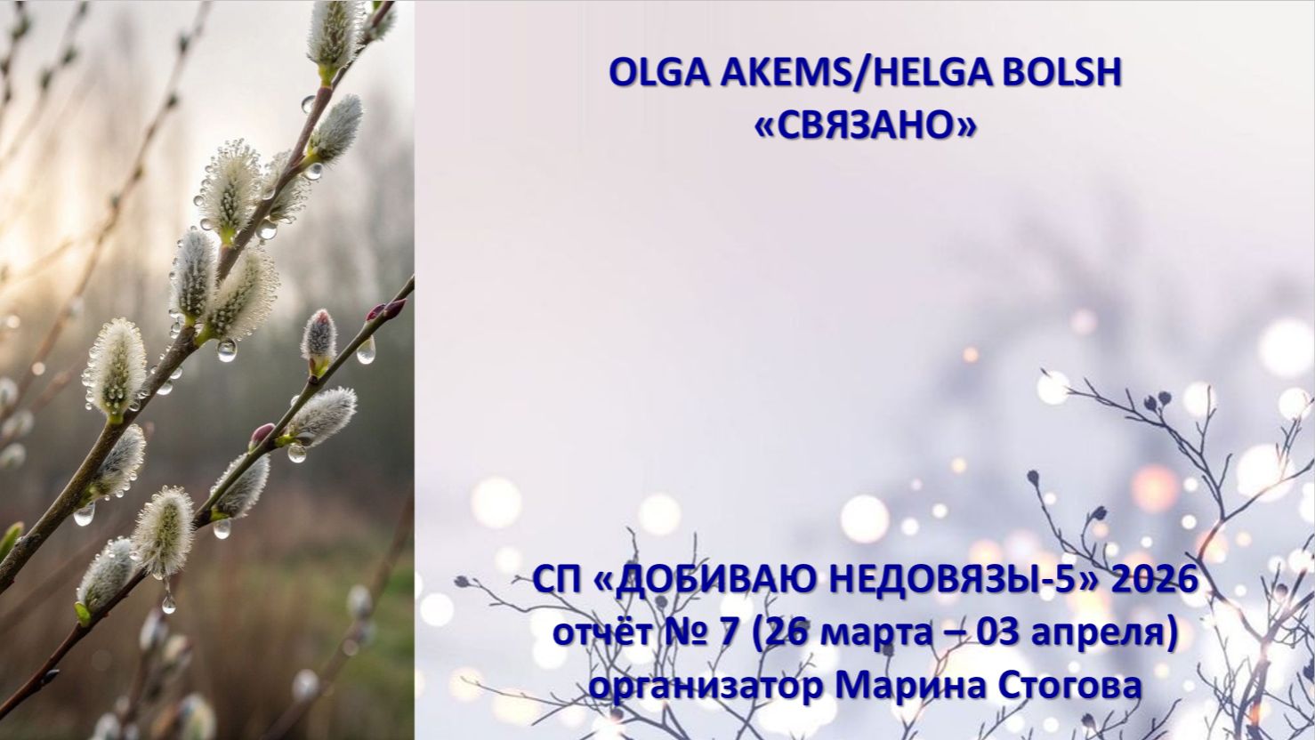 СП "Добиваю недовязы" отчёт № 7 (26 марта - 03 апреля)