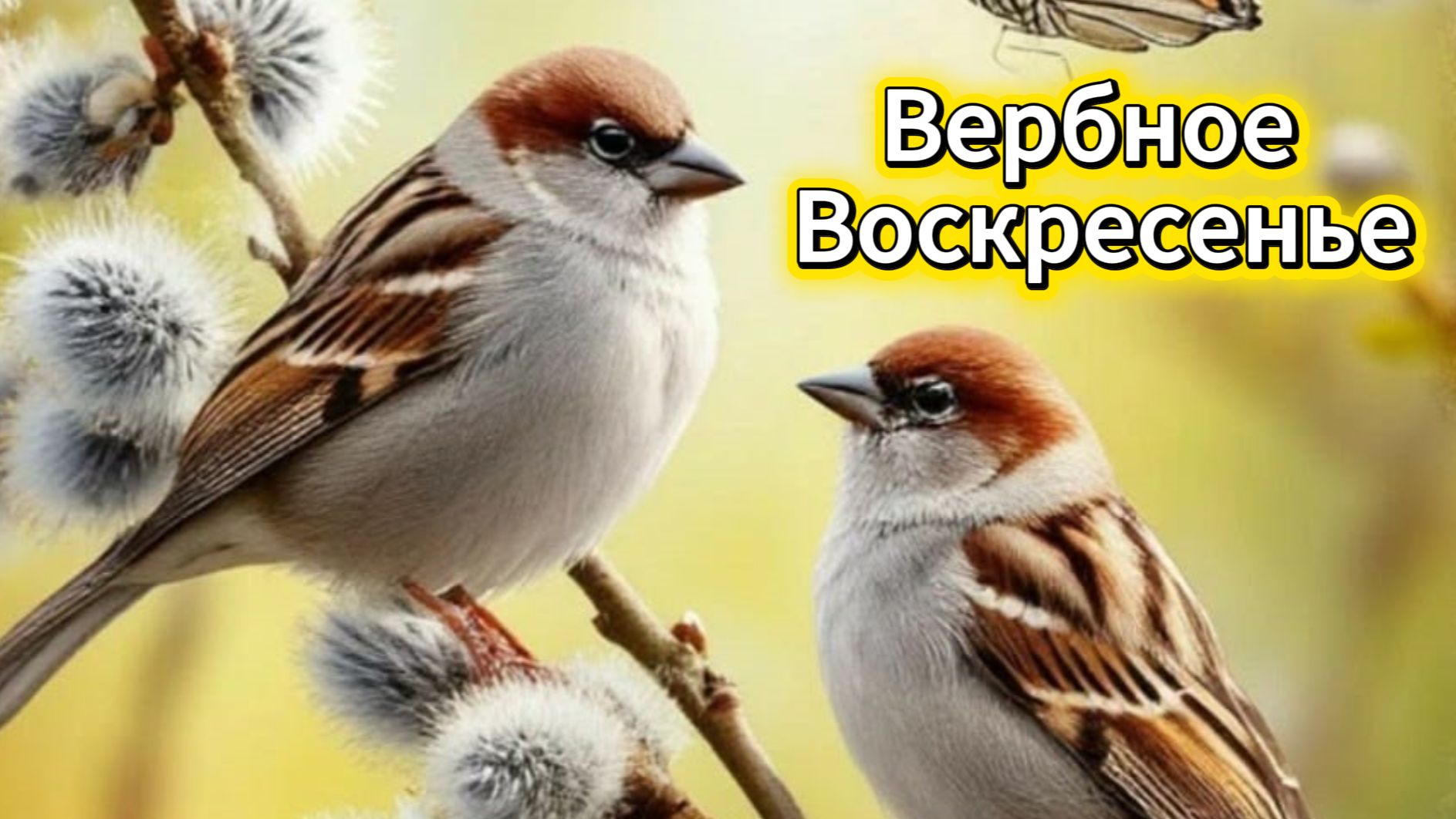 Вербное Воскресенье! Красивое Поздравление с Вербным Воскресеньем! Музыкальная Открытка!