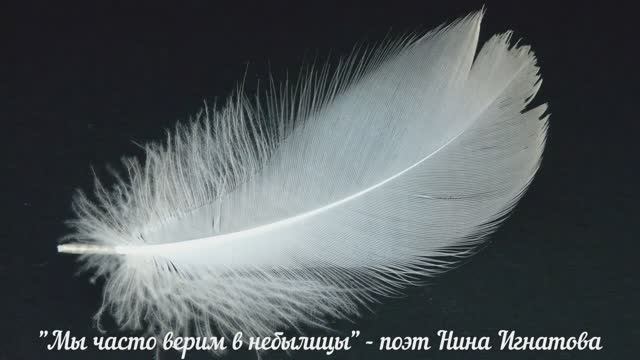 "Мы часто верим в небылицы" - поэт Нина Игнатова