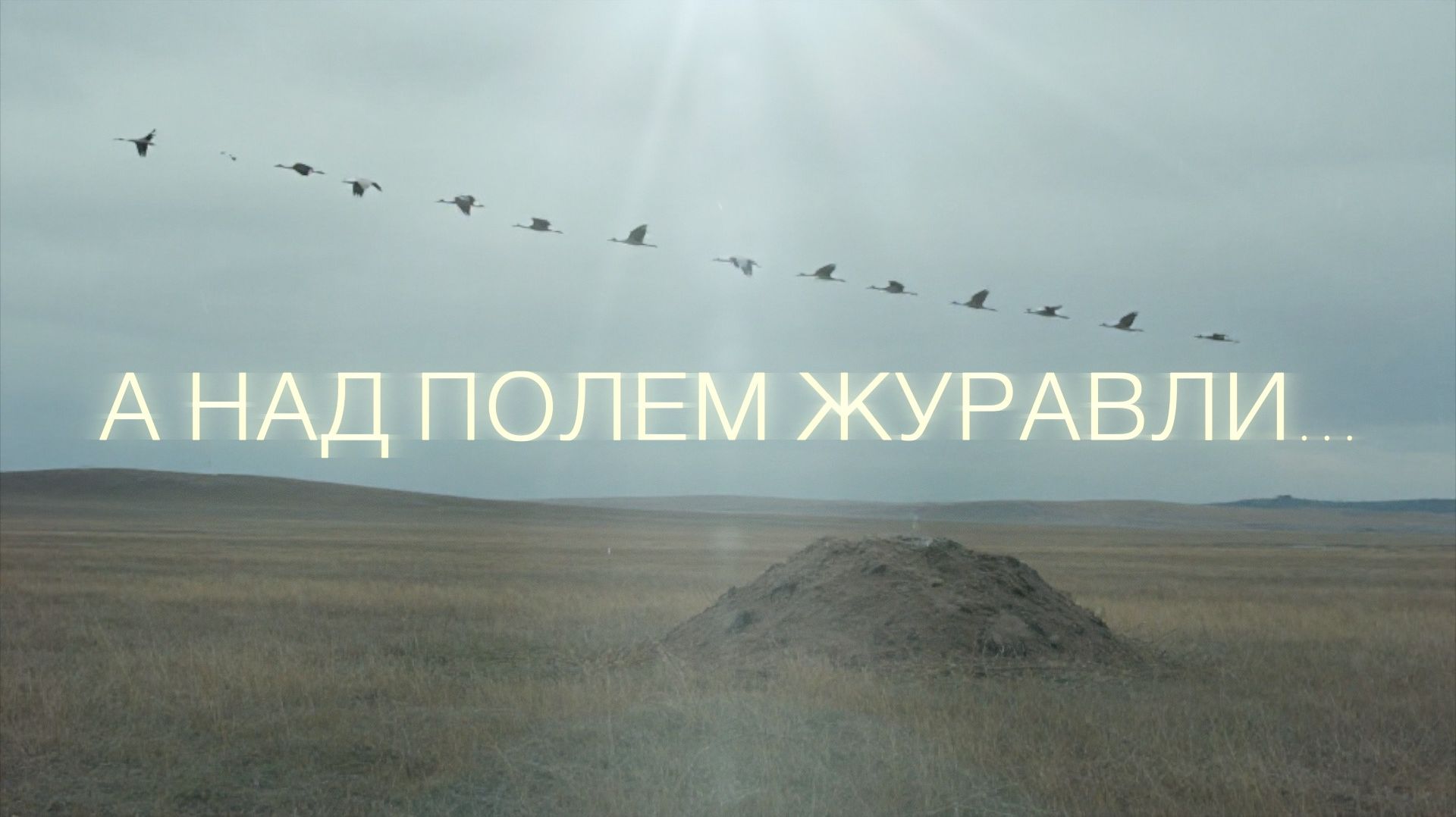 А над полем журавли...