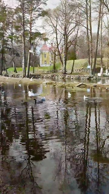 Весна. Приозерск