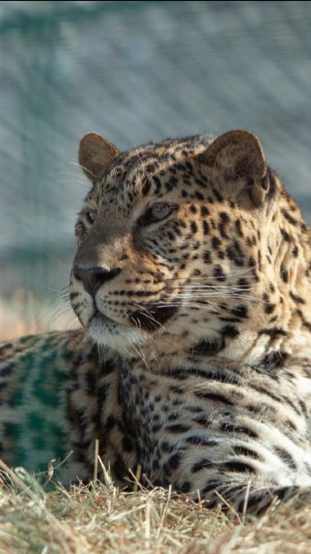 Парк Земля Прайда