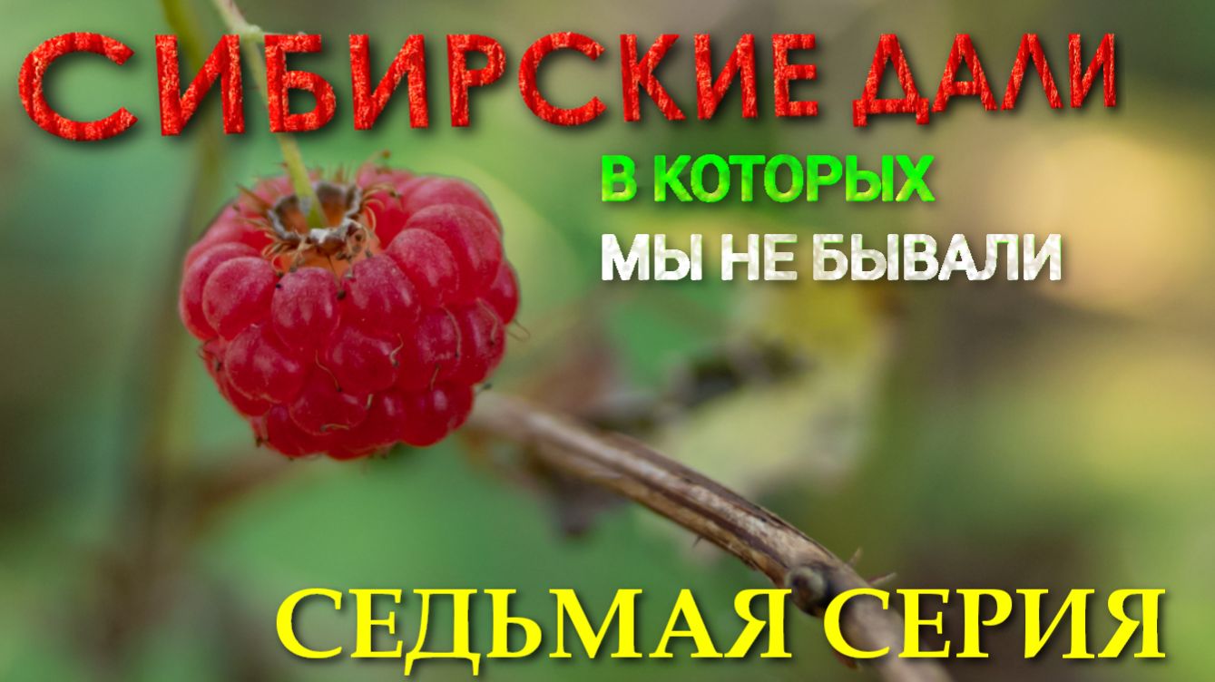 Сибирские дàли, в которых мы не бывали. 7 серия. Автопутешествие с Алтая по Сибири.