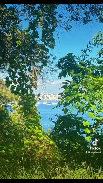 Налаживание отношений с Аборигенами Артуром Филлипом, Льняная фабрика, уважающая рабочих. Австралия