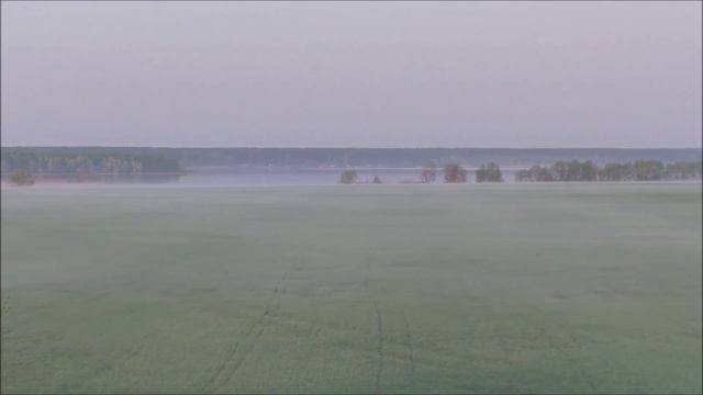 Мой фильм  Утро туманное