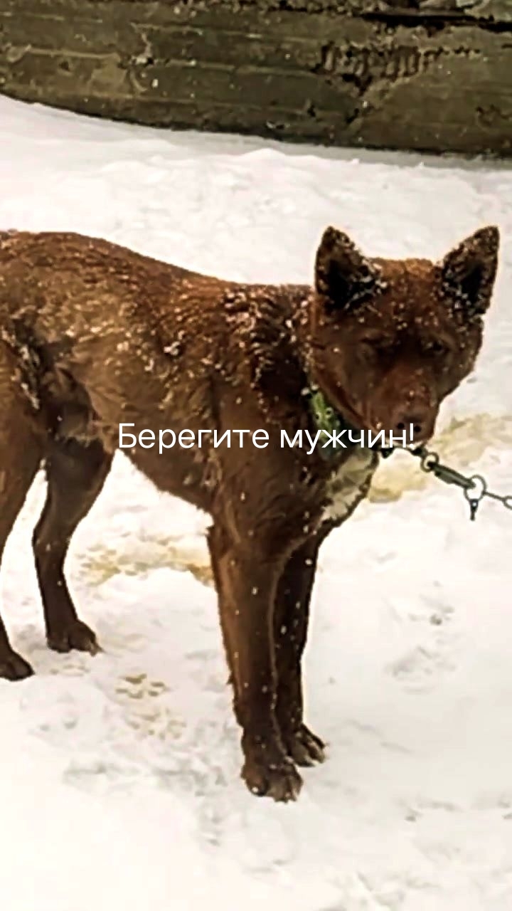 Берегите Нас! 😍 04-04-2026