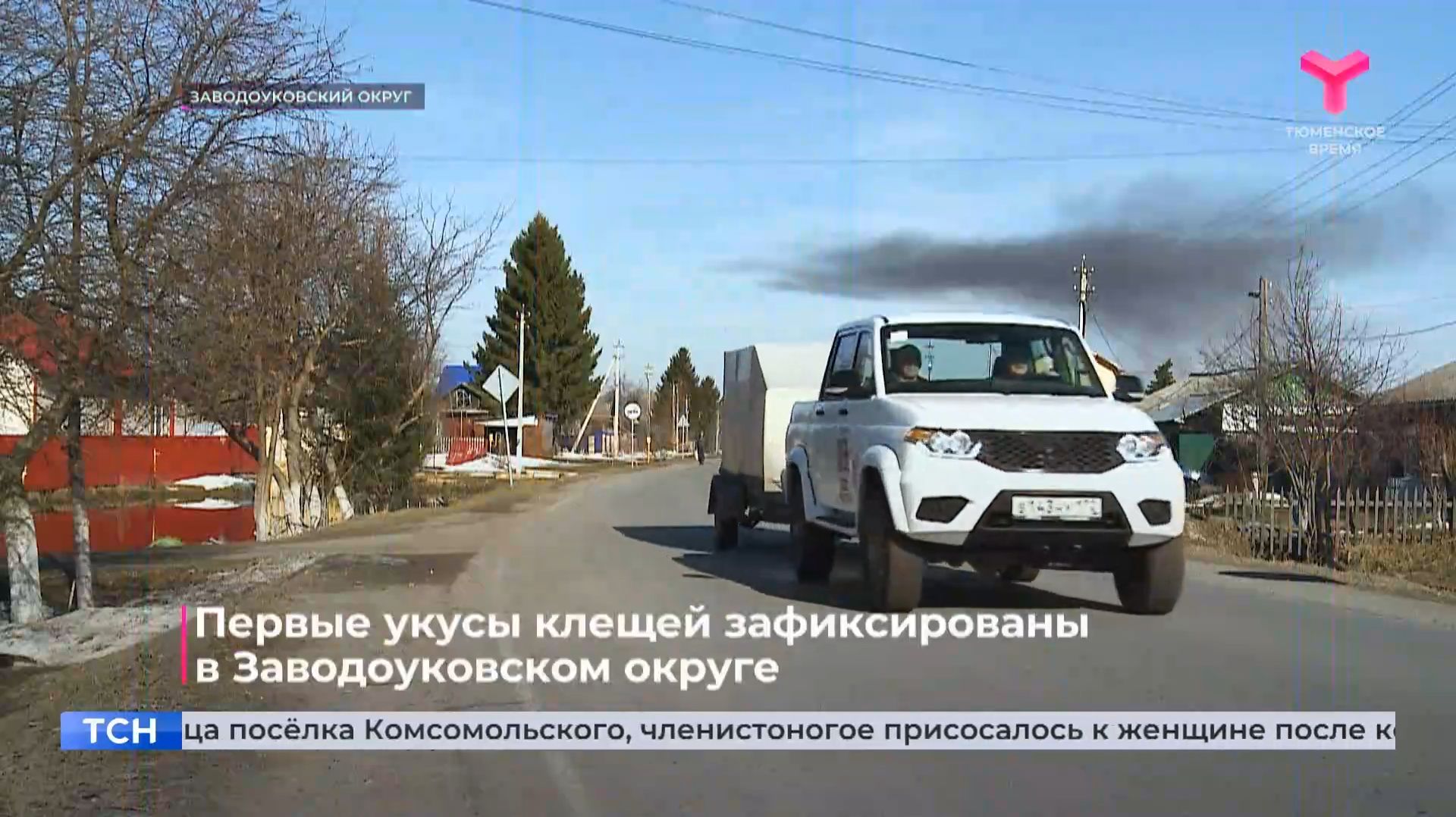 Первые укусы клещей зафиксированы в Заводоуковском округе