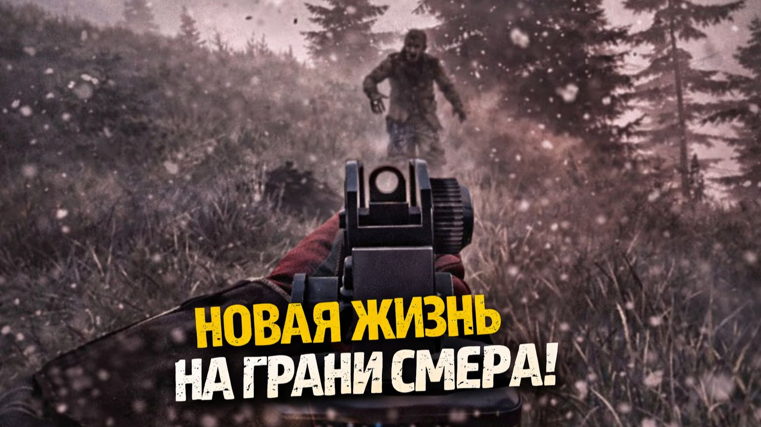 DayZ выживание 2026 — новый мир, новая жизнь, хардкор