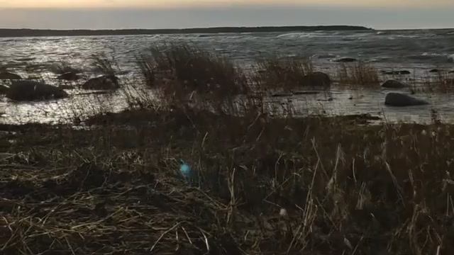 ДУХ - ОРБ в камышах на  берегу Финского залива / Ретровидео YouTube