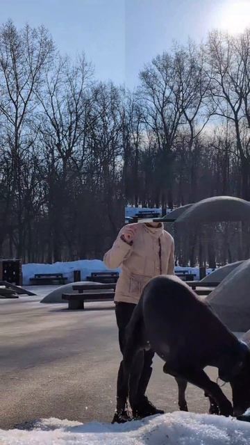 Спортивный Метис Нэтта - вольт от колена