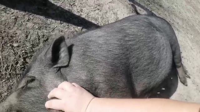 пожмякать никогда лишним не будет)))