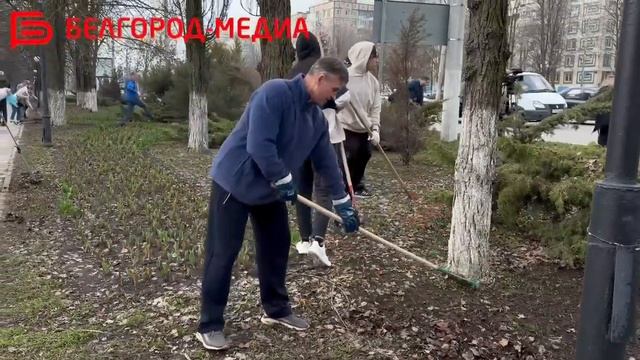 Сегодня на уборку Белгорода вышли 1500 неравнодушных горожан