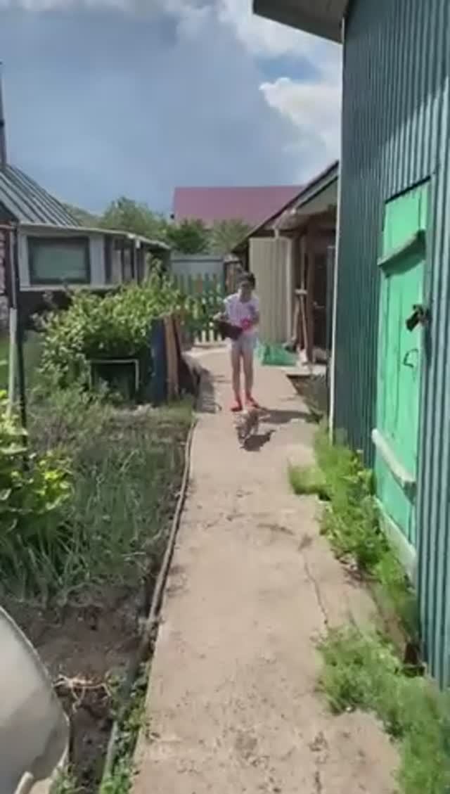 Попросила дочку принести белье с сушилки 2024