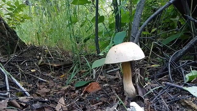 Удачная находка