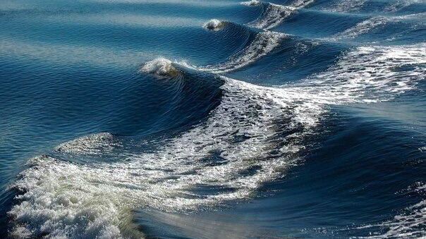 Вдоль течения жизни. Сахалин.