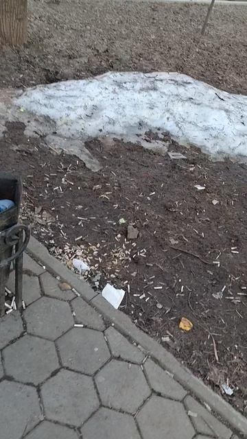 №2030 Комсомольский проспект. 2 апреля 2026 г., 19:26:39 VID_20260402_192611048