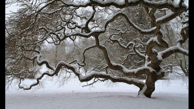 А. Пушкин. Вот север, тучи нагоняя... Отрывок из романа "Евгений Онегин"