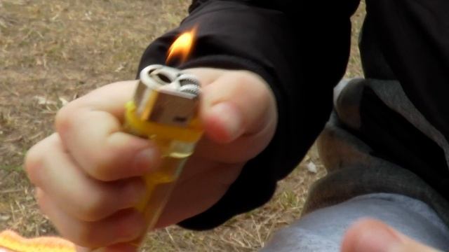 Ролик_пал_травы_7_блюр