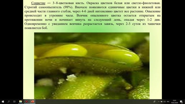 Комплектование МТА - 8.04. 231 группа