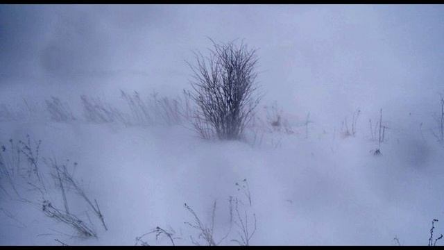 А. Пушкин. Буран в степи. Отрывок из повести "Капитанская дочка"