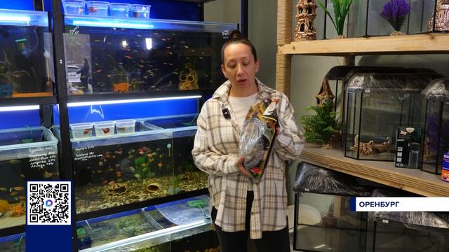 В ПЕРВУЮ СУББОТУ АПРЕЛЯ В РОССИИ ОТМЕЧАЮТ ДЕНЬ АКВАРИУМИСТА