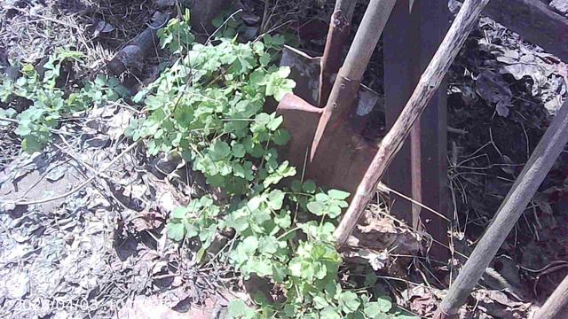 Уборка сорняка из-под инструментов