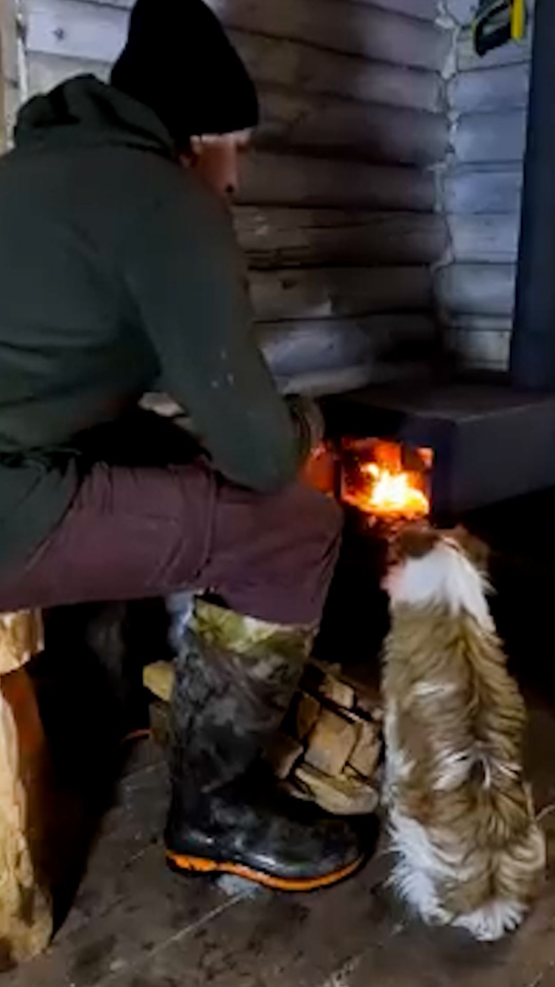 С четвероногим другом в лесном домике