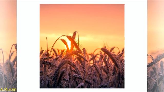 Yakuro - Hymn Of Moon