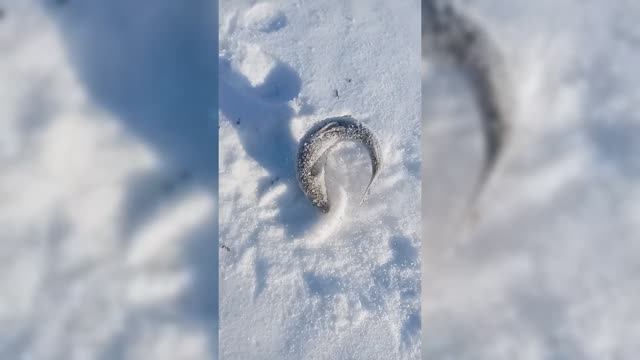 Весенняя Рыбалка!