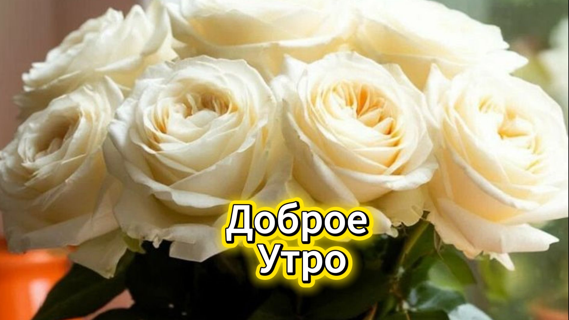 С Добрым Утром 🌞 НОВИНКА