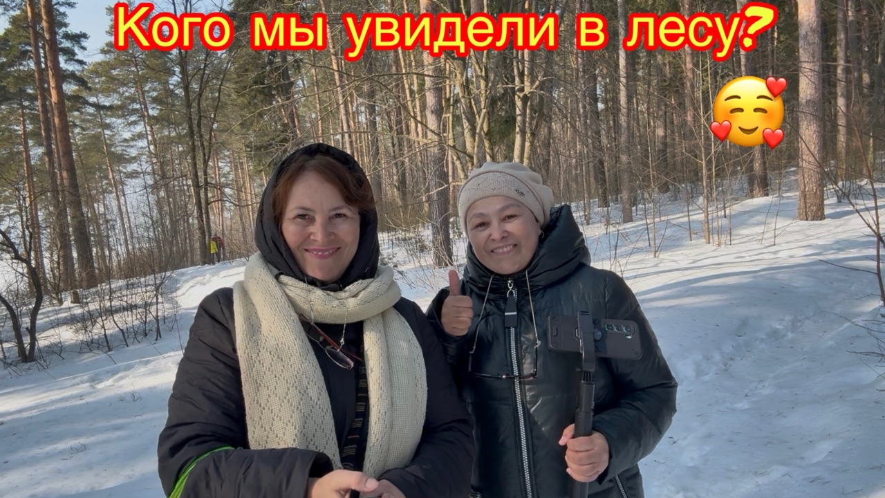 В лесу  увидели чудеса природы 🐦⬛❄️😍🤩🥰