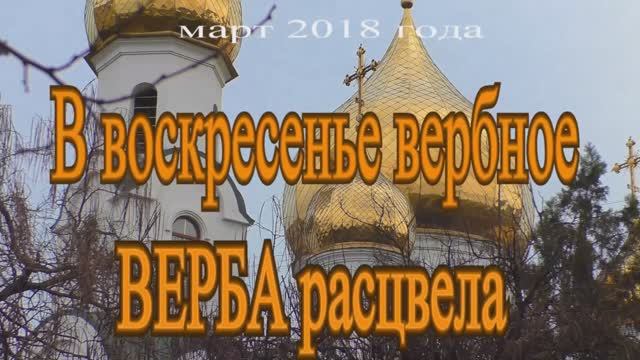 В воскресенье Вербное,верба расцвела
