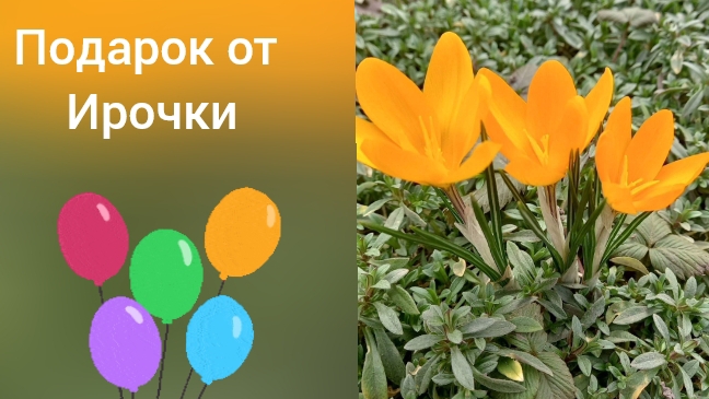 03-04-2026 Подарок от  Ирочки