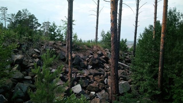 А. Пушкин. Узник