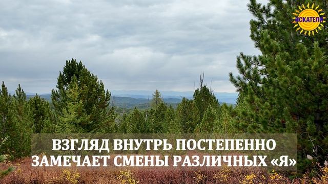 Субличности. Часть III