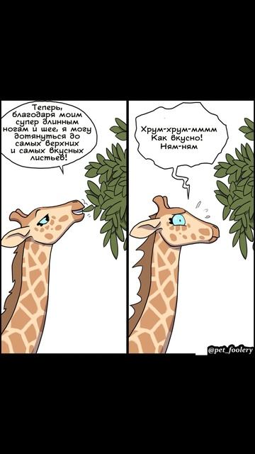 Жираф) Пикси и Брут