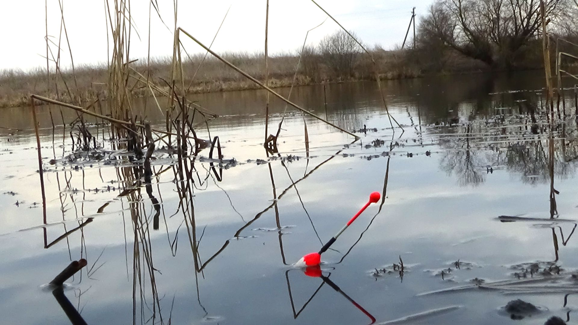 Карась на поплавок 2 апреля у тростника на дальнем пруду! Лучший улов за 13 лет тут!