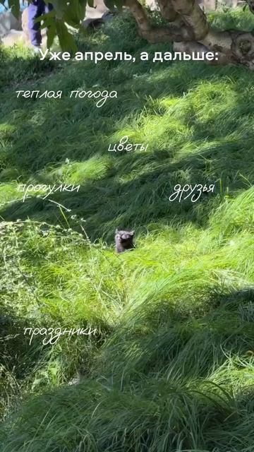 Муся, это ты? Нет, это мы весной