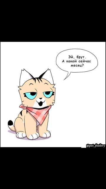 А что, если...) Пикси и Брут