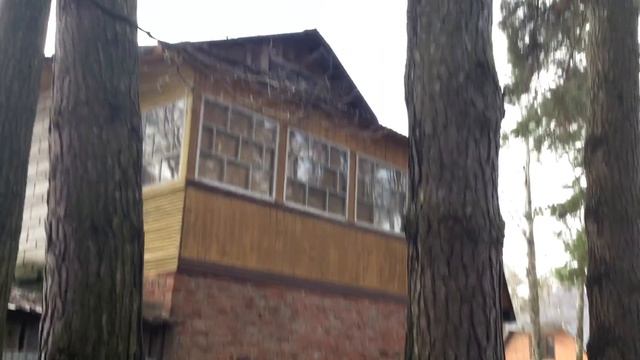 Ура! Идём в лес!