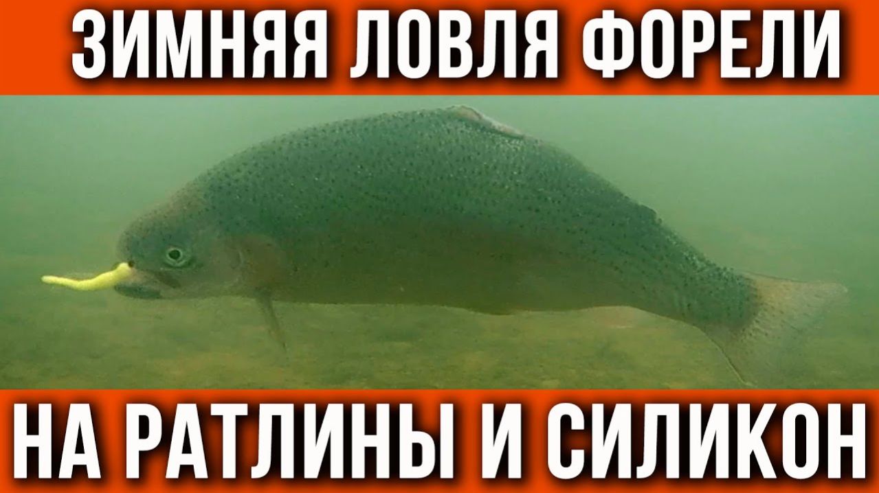 Лучшая Ловля Форели. Мой Зимний Архив 2022. Лучшая Зимняя Рыбалка 2026. Русская Рыбалка Онлайн RUTUB