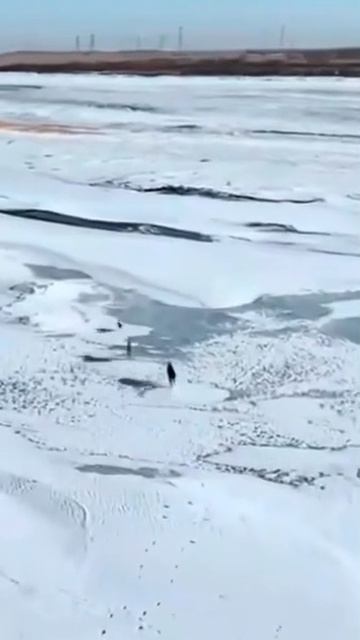 Олимпиада 2026