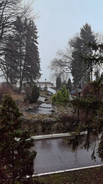 2026-04-03-071411731