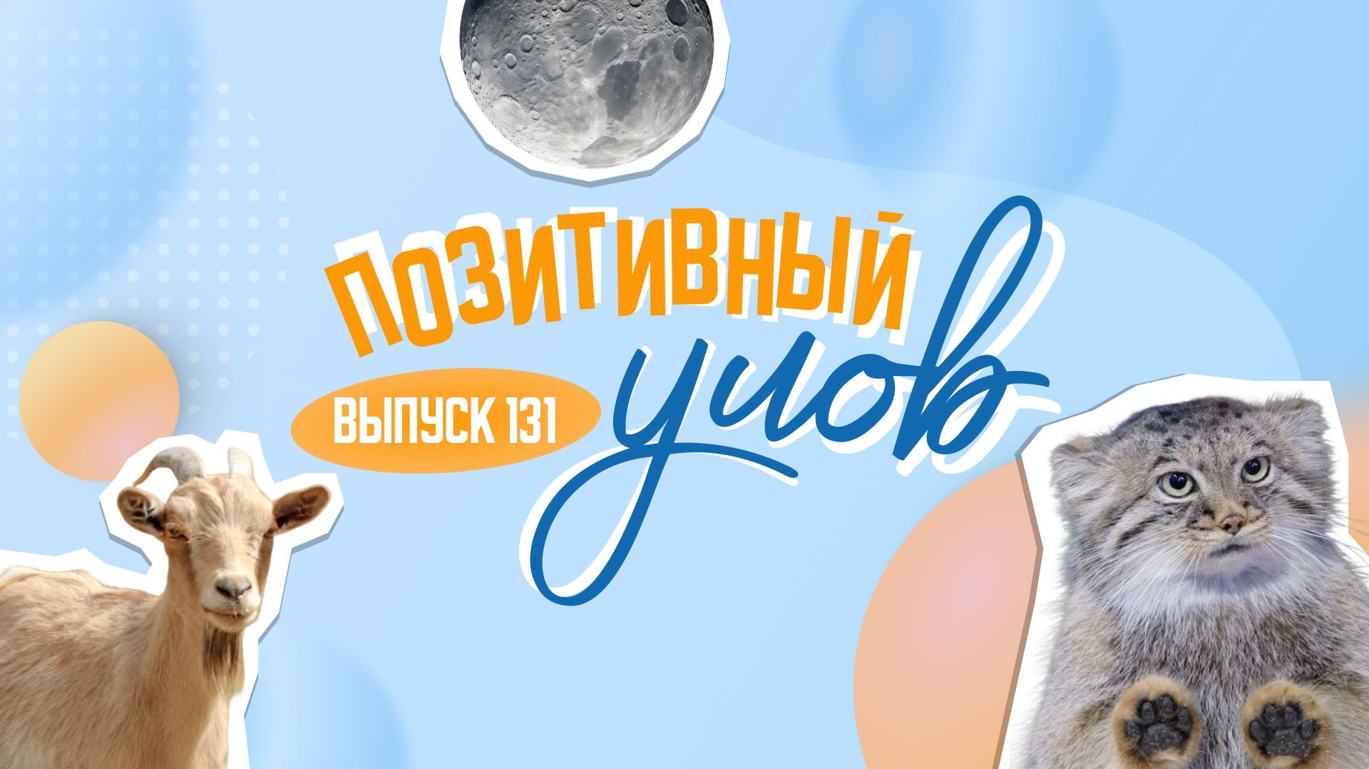 Сэндвич-кулич и полёт к Луне. "Позитивный улов"