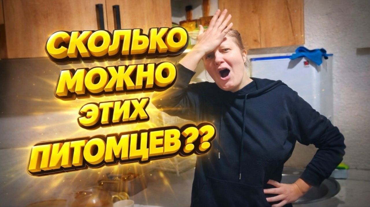 КУПИЛИ ДОМ В ДЕРЕВНЕ | Сколько можно этих питомцев | Дом в деревне | Деревенские будни